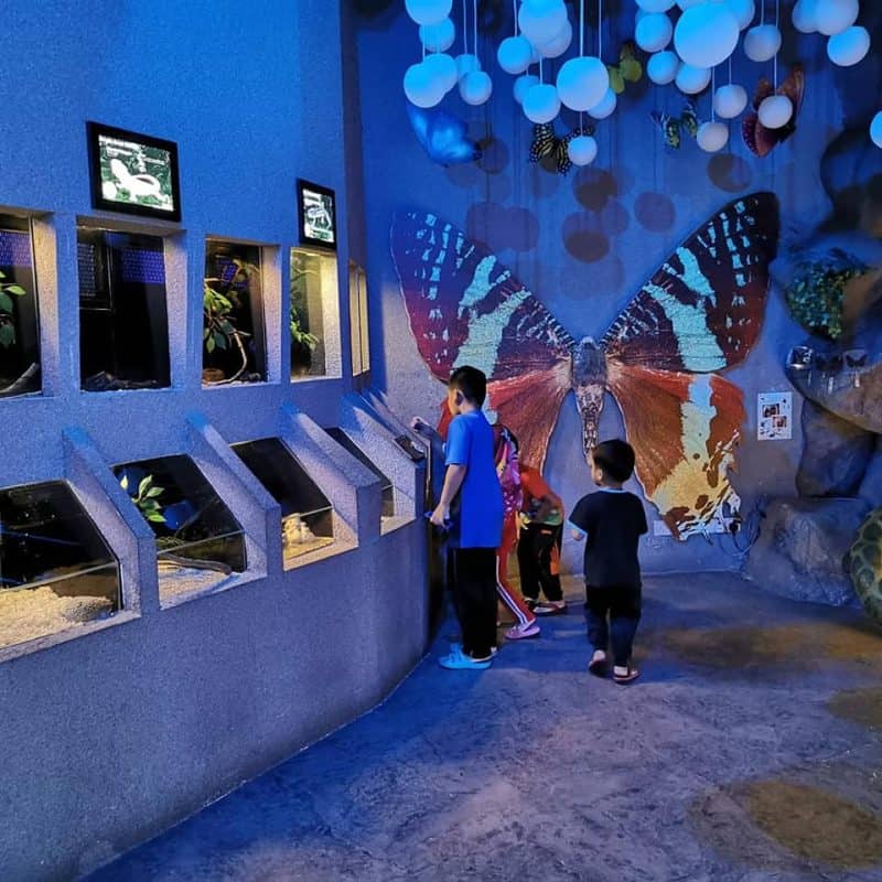 the-shore-oceanarium-melaka-harga-tiket-A-5 – Umminani